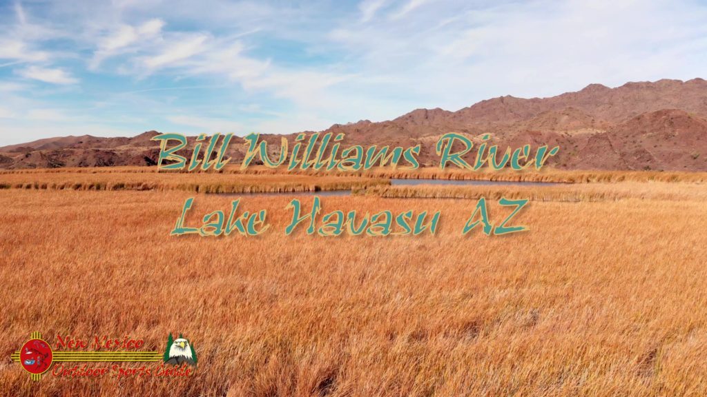 Bill Williams River